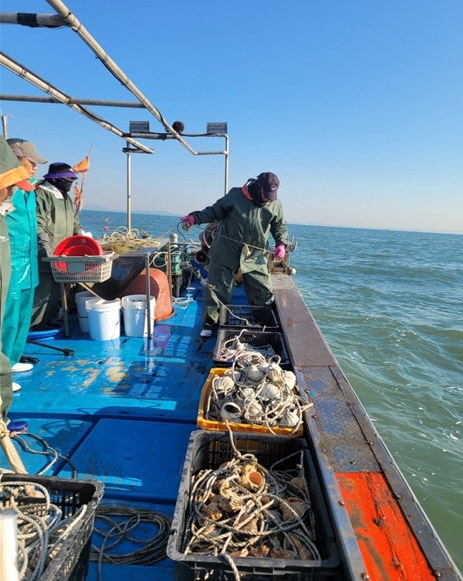 인천시, 2025년 제5기 인천 귀어학교 입교 희망자 모집